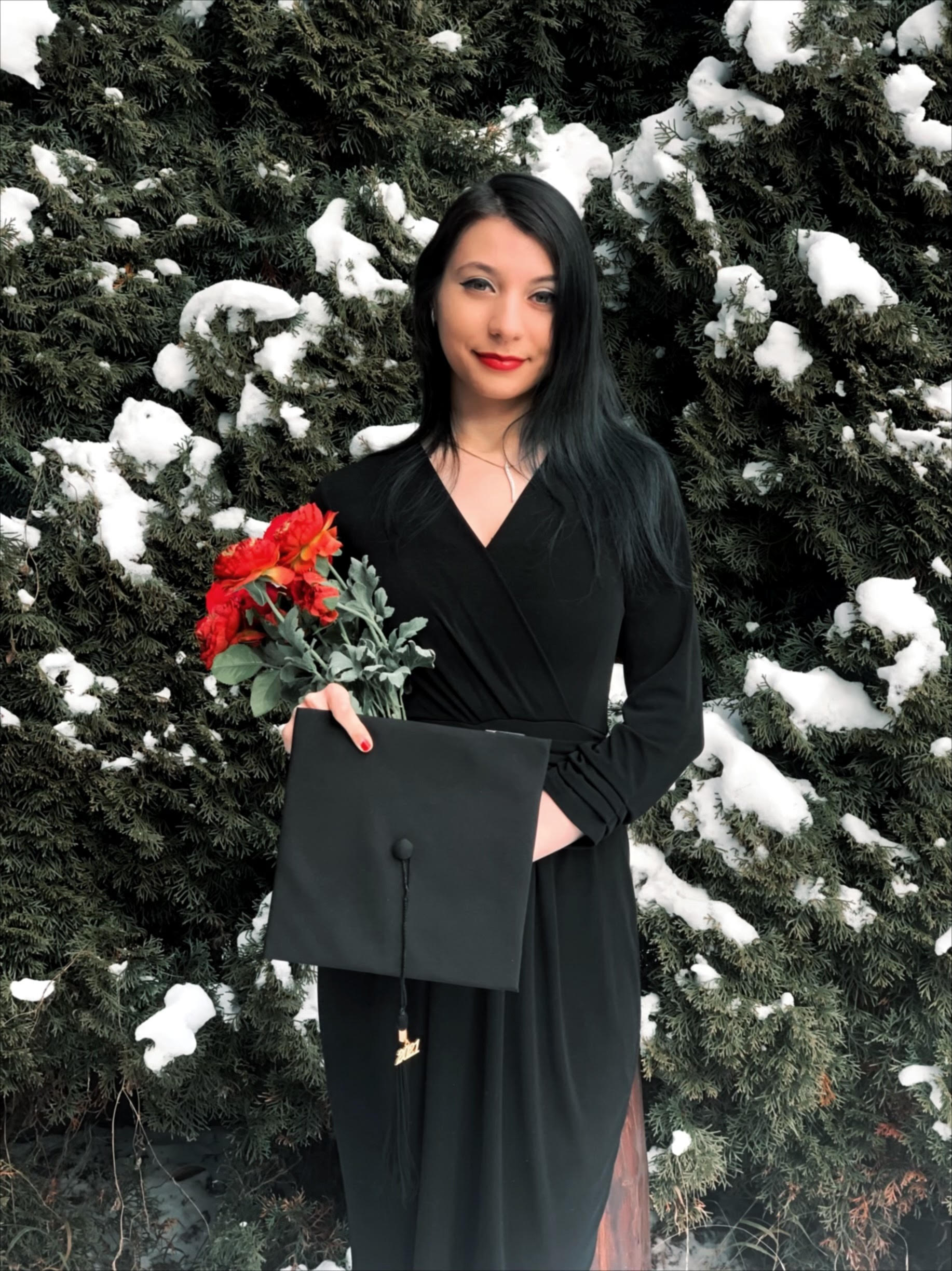 winter graduation, my research and dissertation – amaryllis