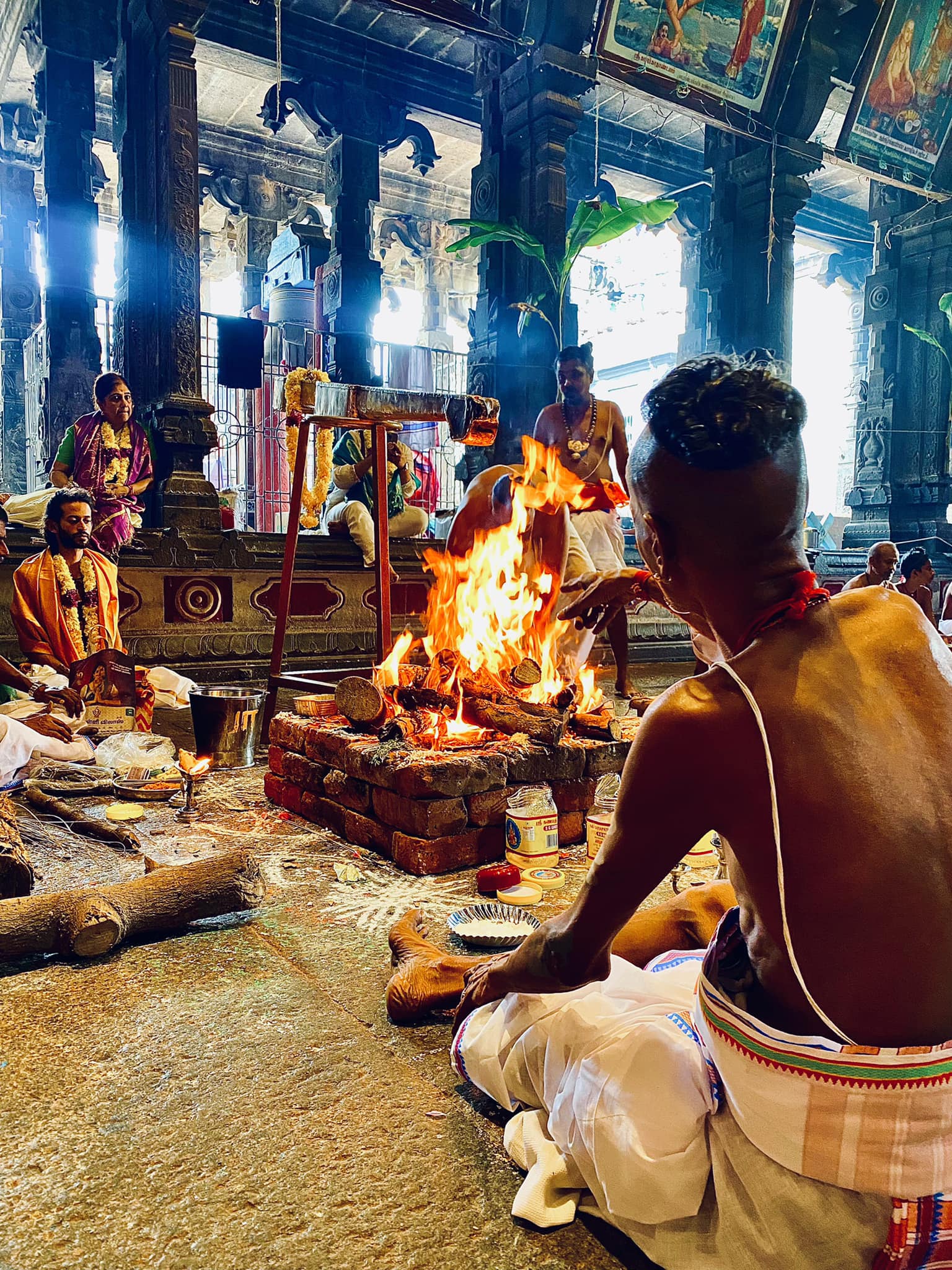 Homam – Bhakti Poem by Téa Nicolae – amaryllis