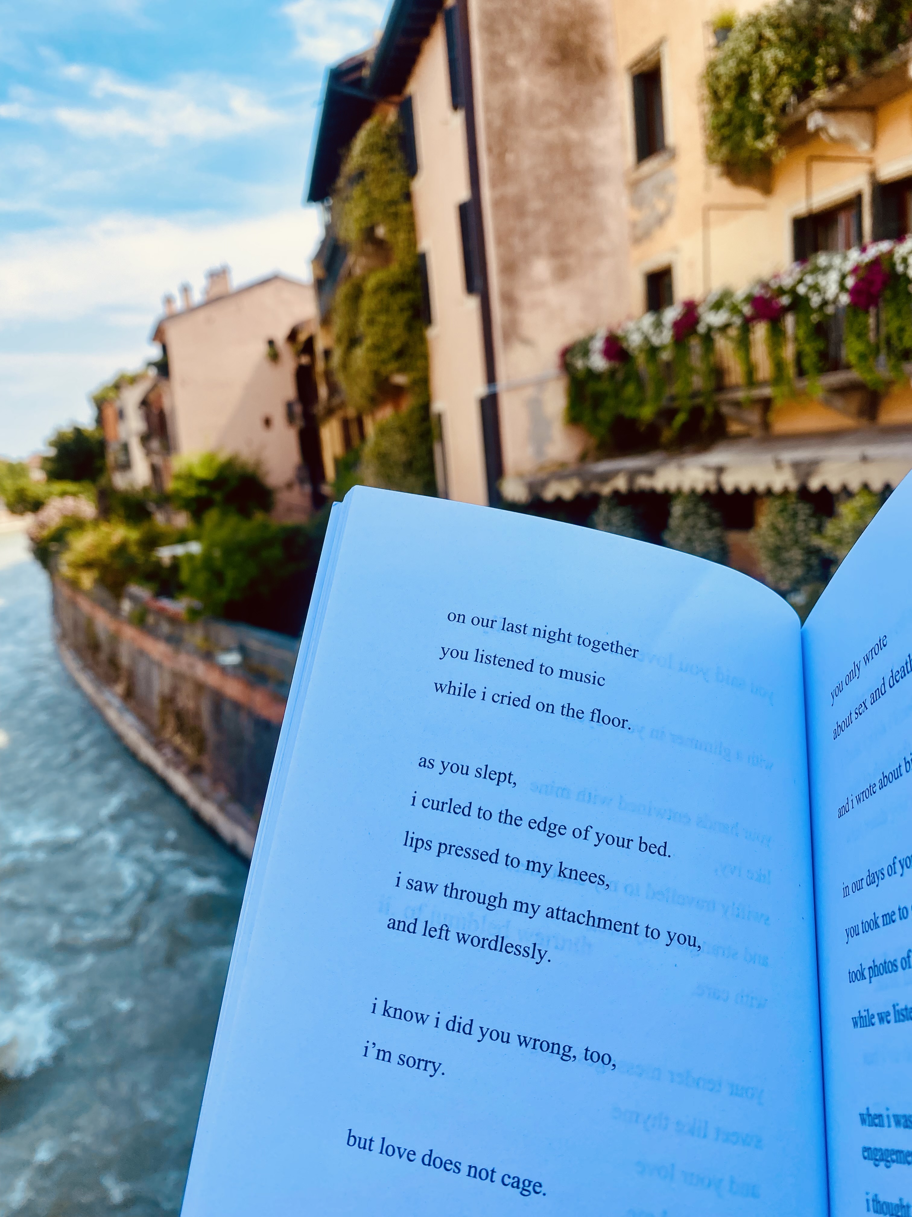 you said you loved me accusatorily | poem | songs of youth – amaryllis