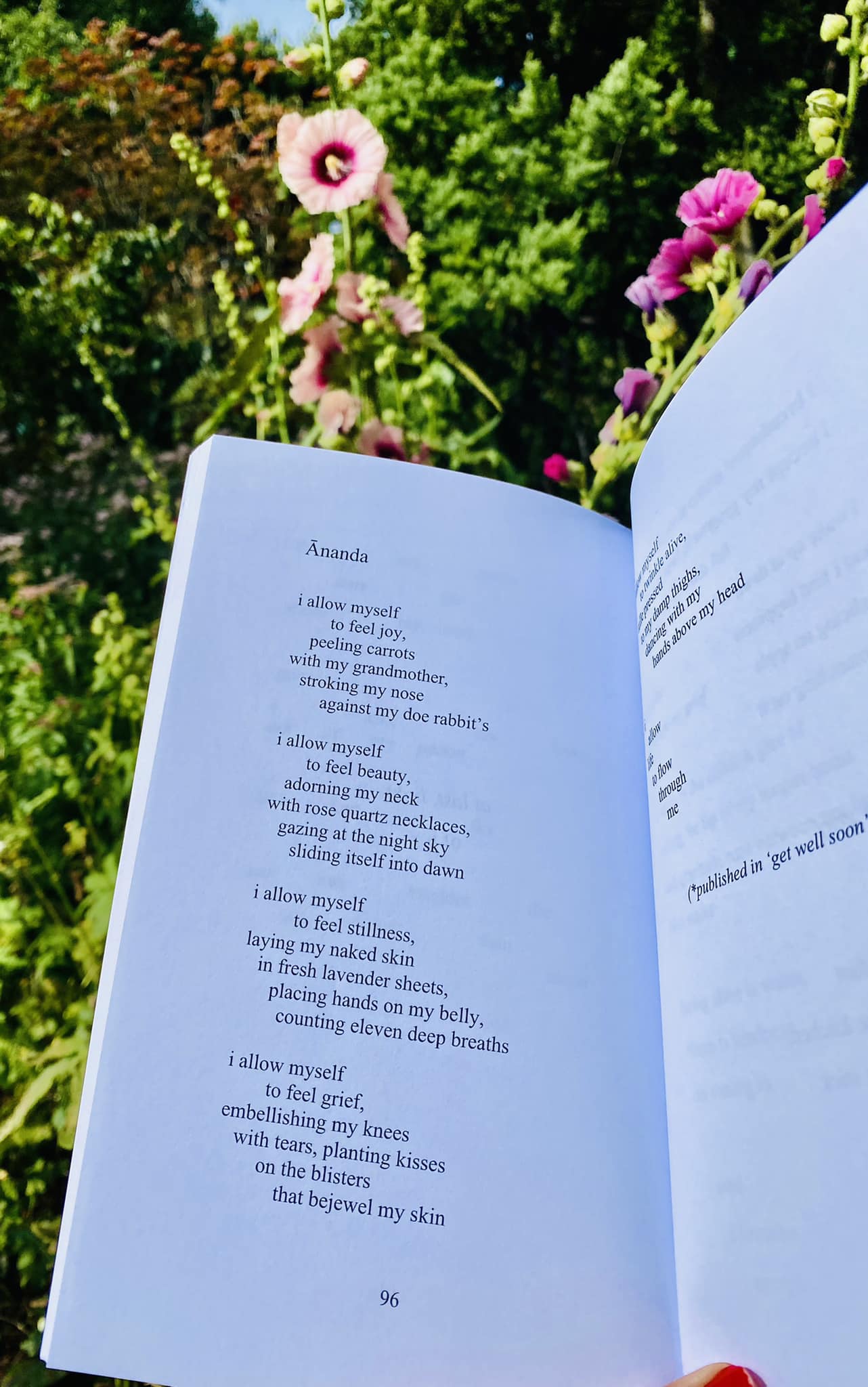 songs of youth – amaryllis